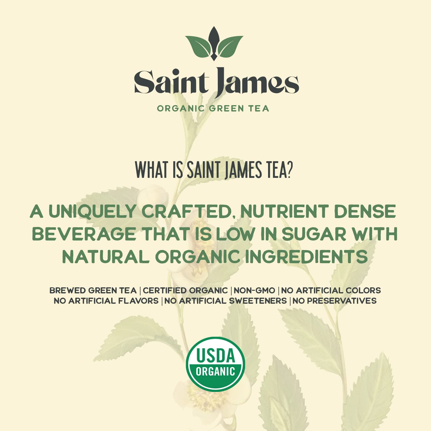 Saint James Iced Tea | Passion Fruit & Peach Organic Green Tea | Organic, Non-GMO Green Tea, 12 Pack (16.9oz each)