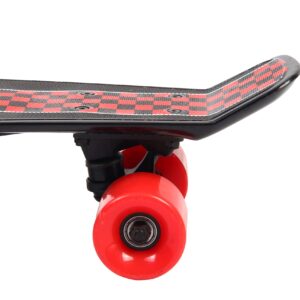 DAKOTT Ferrari Complete 22.5' inches Cruiser Skateboard, Black