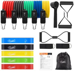 Resistance Bands Set 17pcs, Resistance Band, Exercise Bands Fitness Workout with Wide Handles, Door Anchor, Steel Clasp, Carry Bag, Ankle Straps for Home Gym Outdoor Travel