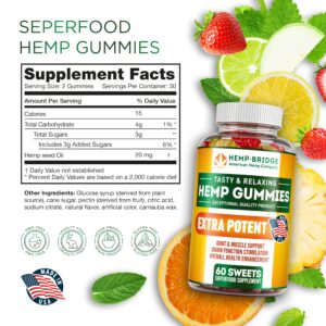 HEMPBRIDGE Pack of 2 Hemp Gummies - Made in USA - Omega 3 Supplement with Hemp Oil - Fruity Gummies for Joints, Muscles, Relax, Calm, Sleep, Skin and Nails