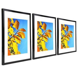 Aynoo 11x14 Picture Frame Black Set of 3 Pack 11x14 Picture Frames Display Pictures 6x8 11x14 Wall Mounting Thin Border Photo Frame for Wall,Black, 3Pack