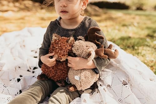 Bunnies By The Bay Wee Foxy Plush, Multi