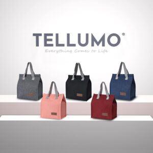 TELLUMO Lunch bag, Insulated Lunch Bag for Women Men Large Lunch Box Container Reusable Leakproof Tote for Office, Work, School, Beach or Travel (Dark)