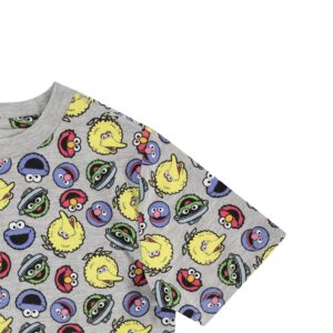 Sesame Street Boys Toddler Shirt Elmo Cookie Monster Big Bird Toddler Boys Allover Shirt (Heather, 4T)