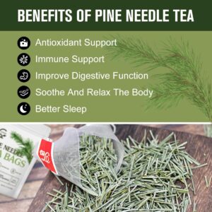 Organic Pine Needle Tea Bags - 100% Pure Natural Dried Pine Needles Herbal Tea, Effectively Antioxidant & Immune Support, Caffeine Free, 30 Tea Bags