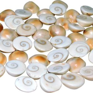 SAI MART Natural Gomti 11piece River Stone Gomati Chakra for Lakshmi/Laxmi Puja Pooja Peace,Prosperity,Energized and Wealt,Success