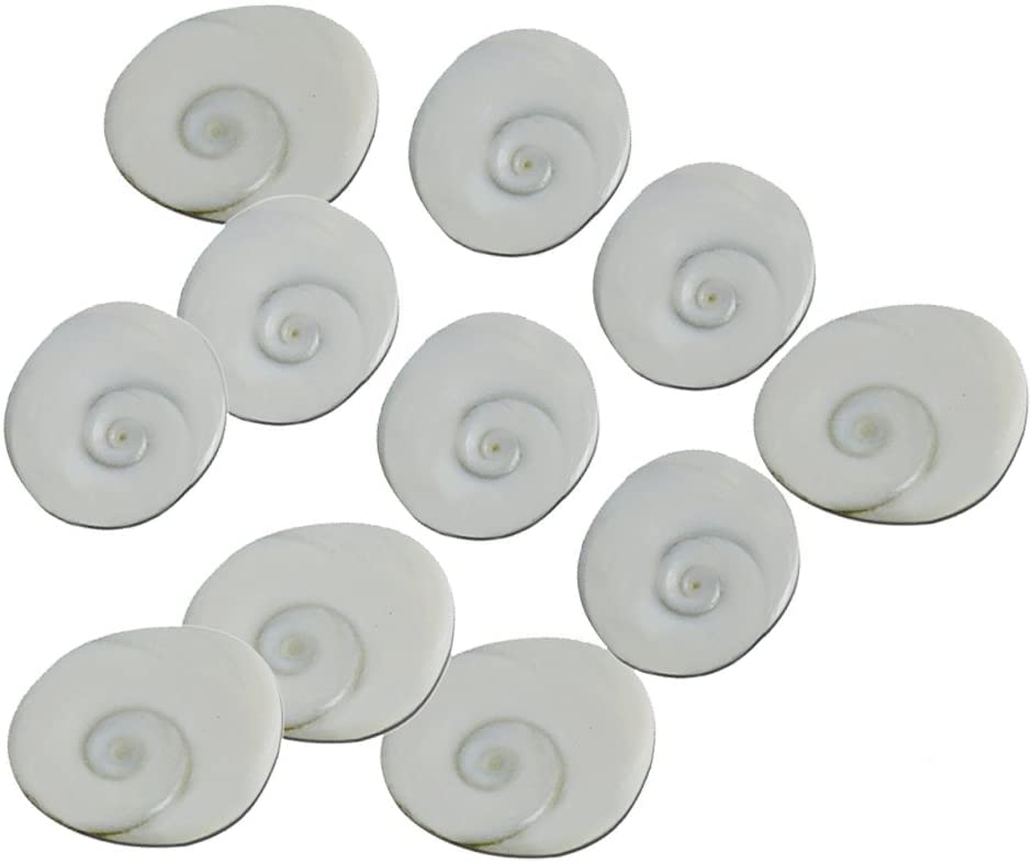 SAI MART Natural Gomti 11piece River Stone Gomati Chakra for Lakshmi/Laxmi Puja Pooja Peace,Prosperity,Energized and Wealt,Success