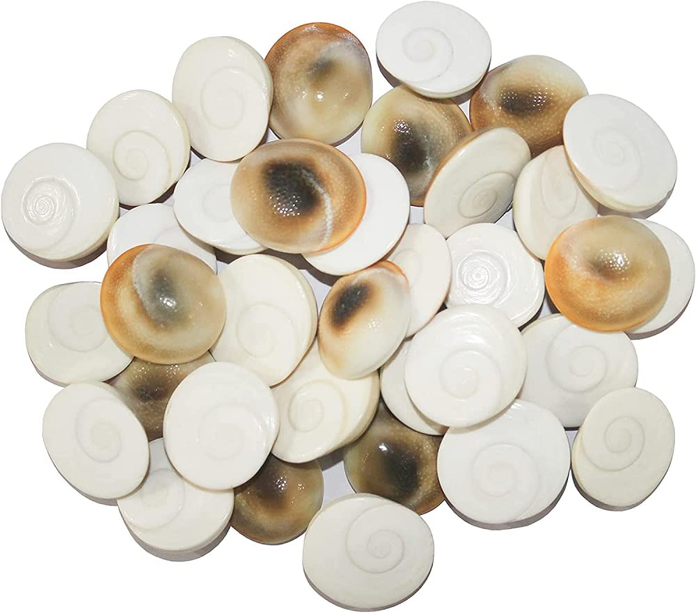 SAI MART Natural Gomti 11piece River Stone Gomati Chakra for Lakshmi/Laxmi Puja Pooja Peace,Prosperity,Energized and Wealt,Success