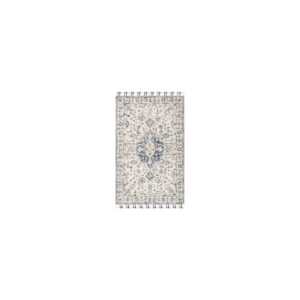 safavieh aspen collection area rug - 10' x 14', ivory & blue, handmade boho braided tassel wool, ideal for high traffic areas in living room, bedroom (apn125a)