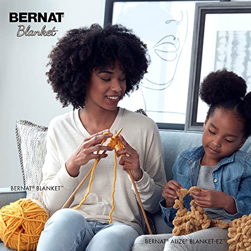 Bernat Blanket Coal Yarn - 2 Pack of 300g/10.5oz - Polyester - 6 Super Bulky - 220 Yards - Knitting/Crochet