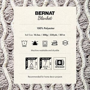 Bernat Blanket Coal Yarn - 2 Pack of 300g/10.5oz - Polyester - 6 Super Bulky - 220 Yards - Knitting/Crochet