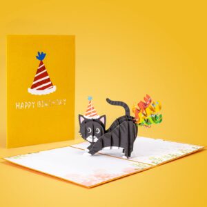 createreedo Cat Birthday Cards, cat pop up Cards pop up birthday cards for cat lovers, women, men,wife,husband,friends,kids etc.