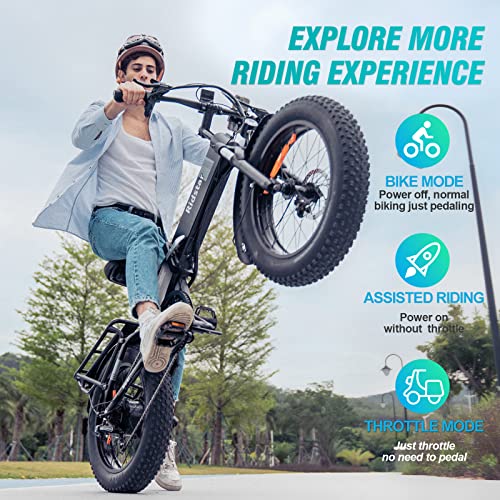 Ridstar Electric Bike for Adults, 1000W 48V 15Ah 30MPH 50 Miles E Bike, 20" x 4.0 Fat Tire Mountain Bike Dual Shock Absorber 7-Speed Foldable Bicycle