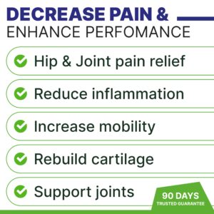 ADVANCED Hemp Hip & Joint Supplement for Dogs - Glucosamine for Dogs - Dog Joint Pain Relief Treats - Chondroitin Turmeric MSM Hemp Oil - Hemp Treats for Joint Health - Senior Mobility Support Chew