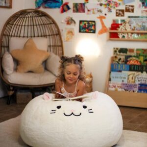 Furry Bean Bag Cover, Faux Fur Bean Bag Chair Cover for Kids, Teens and Adults 32x32x18in (Pinky Cat)