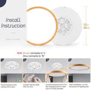 12 Inch Wood Grain LED Ceiling Light Fixture Flush Mount, ABS Mat., 5000K Daylight White, 24W Flat Modern Round Closet Lighting Fixtures, 3200LM Low Profile Circle Ceiling Lamp for Bedroom etc.