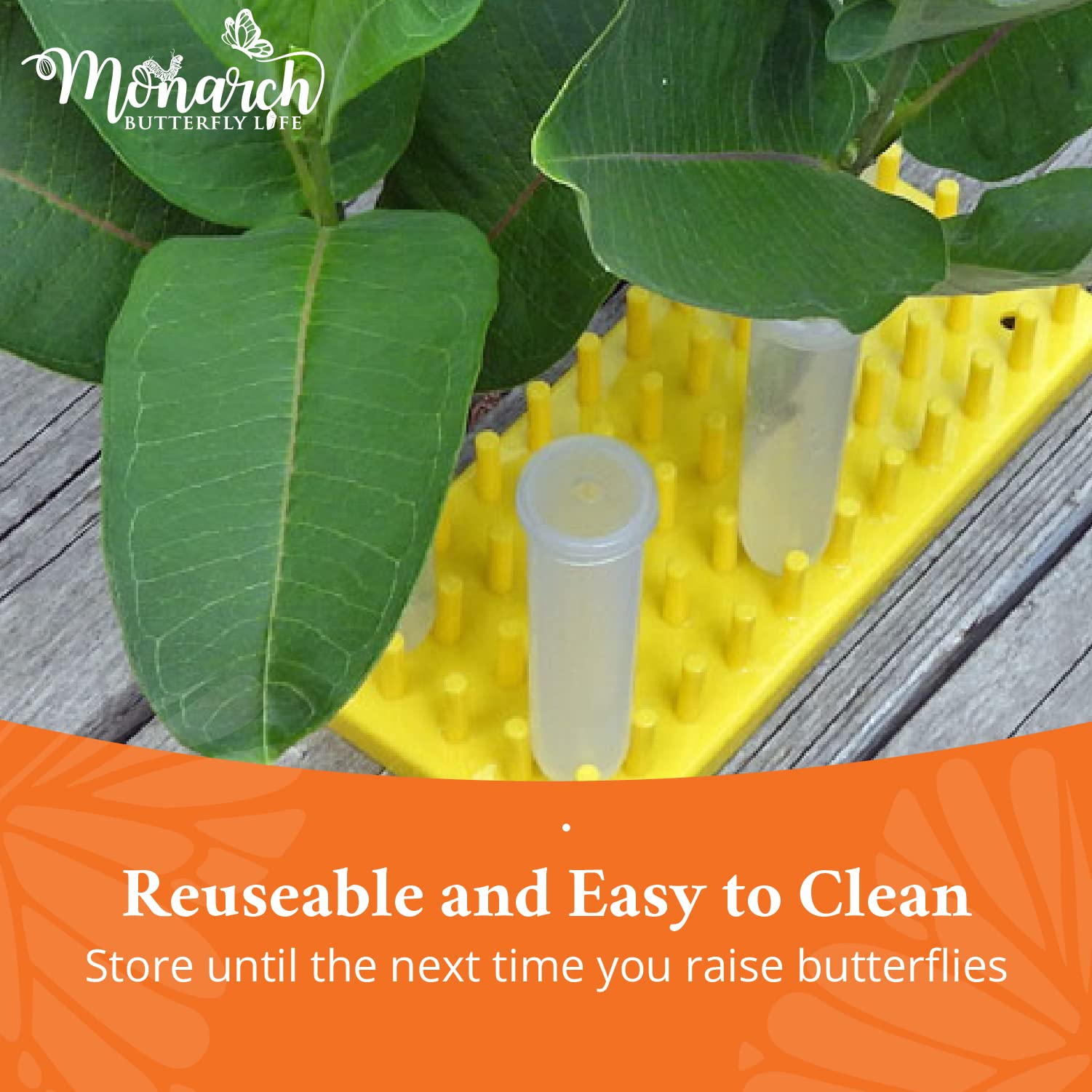 Short Peg Rack with 8 Large Floral Tubes to Feed Caterpillars Fresh Milkweed Cuttings, Host Plants, and Nectar Flowers by MONARCH BUTTERFLY LIFE