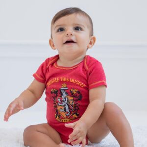 Harry Potter Gryffindor Hufflepuff Ravenclaw Slytherin Newborn Baby Boys 4 Pack Bodysuits 6-9 Months