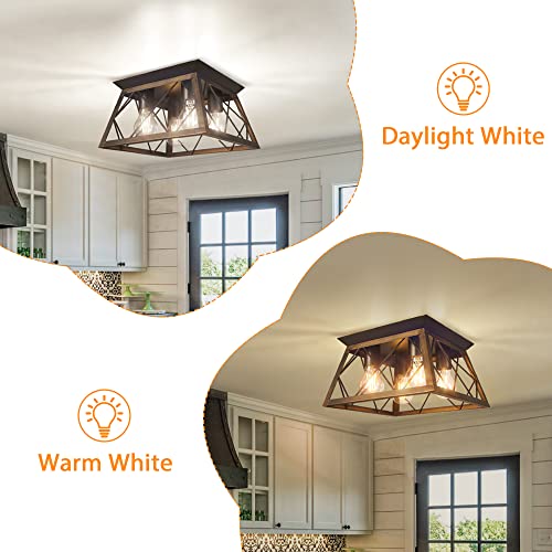 FadimiKoo Flush Mount Ceiling Light Fixtures for Kitchen Hallway, 4-Light Close to Ceiling Lighting, Industrial Farmhouse Square Cage Ceiling Lamp for Dining Room, Living Room, Bulb Not Included