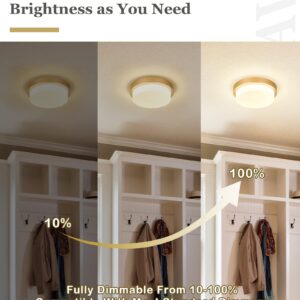 Audickic Gold Flush Mount Ceiling Light, 13inch Close to Ceiling Light Fixtures 24W 2200lm Dimmable 2700K/3000K/4000K/5000K/6000K Brass LED Ceiling Lamp for Bedroom Hallway Kitchen, AD-22008-L-GD