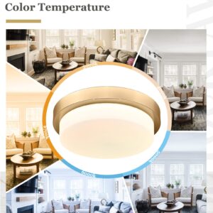 Audickic Gold Flush Mount Ceiling Light, 13inch Close to Ceiling Light Fixtures 24W 2200lm Dimmable 2700K/3000K/4000K/5000K/6000K Brass LED Ceiling Lamp for Bedroom Hallway Kitchen, AD-22008-L-GD