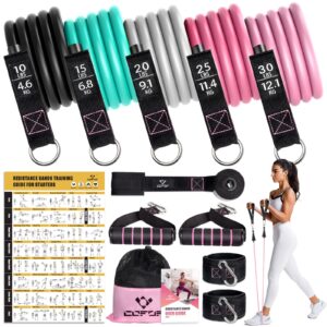 resistance bands with handles for women, 5 level exercise bands workout bands for physical therapy, yoga, pilates, door anchor, storage pouch(colour)