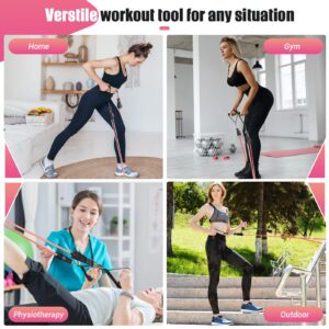 Resistance Bands with Handles for Women, 5 Level Exercise Bands Workout Bands for Physical Therapy, Yoga, Pilates, Door Anchor, Storage Pouch(colour)