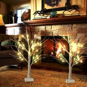 Set of 2 Warm White Birch Tree Light with Battery or USB Powered 24 LED fairy light spirit tree Tabletop twinkling tree Light Decor for Home Party Bedroom Wedding Thanksgiving Christmas Decoration