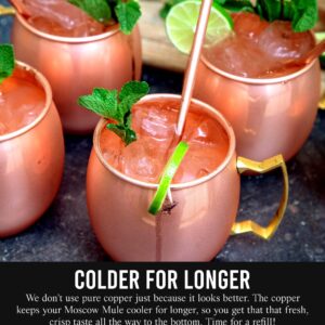 will's Moscow Mule Copper Mugs - Set of 4-100% Pure Solid Copper Mugs - 16 oz Premium Gift Set with 4 Cocktail Copper Straws, Shot Glass and Recipe Booklet (Set of 4)