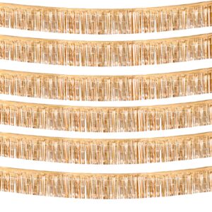 6 pack 10 feet champagne gold foil fringe garland metallic tinsel streamers banner wall hanging backdrop banner for parade floats, valentine's day, wedding, birthday, mardi gras party decorations