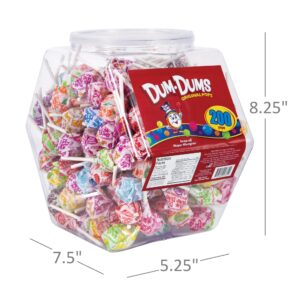 Dum Dum Lollipops Bulk Variety | 200 Individually Wrapped Suckers Candies | Assorted Flavors of Original Pops in Reusable Plastic Tub