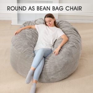 Homguava Chenille Bean Bag Chair, Variable Shape from Bean Bag to Matress, Convertible Beanbag Chair for Home, Living Room(Full, Grey)