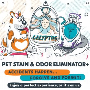 Calyptus Pet Stain and Odor Remover | Orange and Enzyme Cleaner Duo Solution for Pets | 128oz (64oz x 2 Bottles) | Carpet Cleaner and Odor Eliminator for Cat Urine, Dog Pee, and Poop | Pro Strength