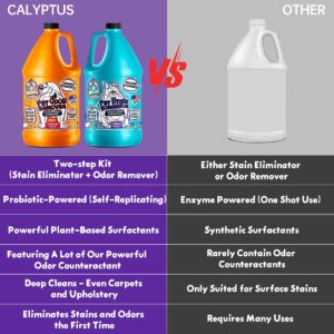 Calyptus Pet Stain and Odor Remover | Orange and Enzyme Cleaner Duo Solution for Pets | 128oz (64oz x 2 Bottles) | Carpet Cleaner and Odor Eliminator for Cat Urine, Dog Pee, and Poop | Pro Strength