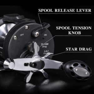 Sougayilang Trolling Reel, Level Wind Fishing Reel, Conventional Reel for Salmon-3000 Right handle