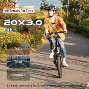 HITWAY Electric Bike for Adults, 20" Fat Tire E Bike 750W 20MPH Removable Folding Electric Bike, 48V/14Ah Battery 55-120KM,All Terrain tire Electric Bicycles