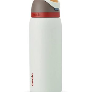 Owala FreeSip Stainless Steel Boneyard Bottle 40oz, 1 EA