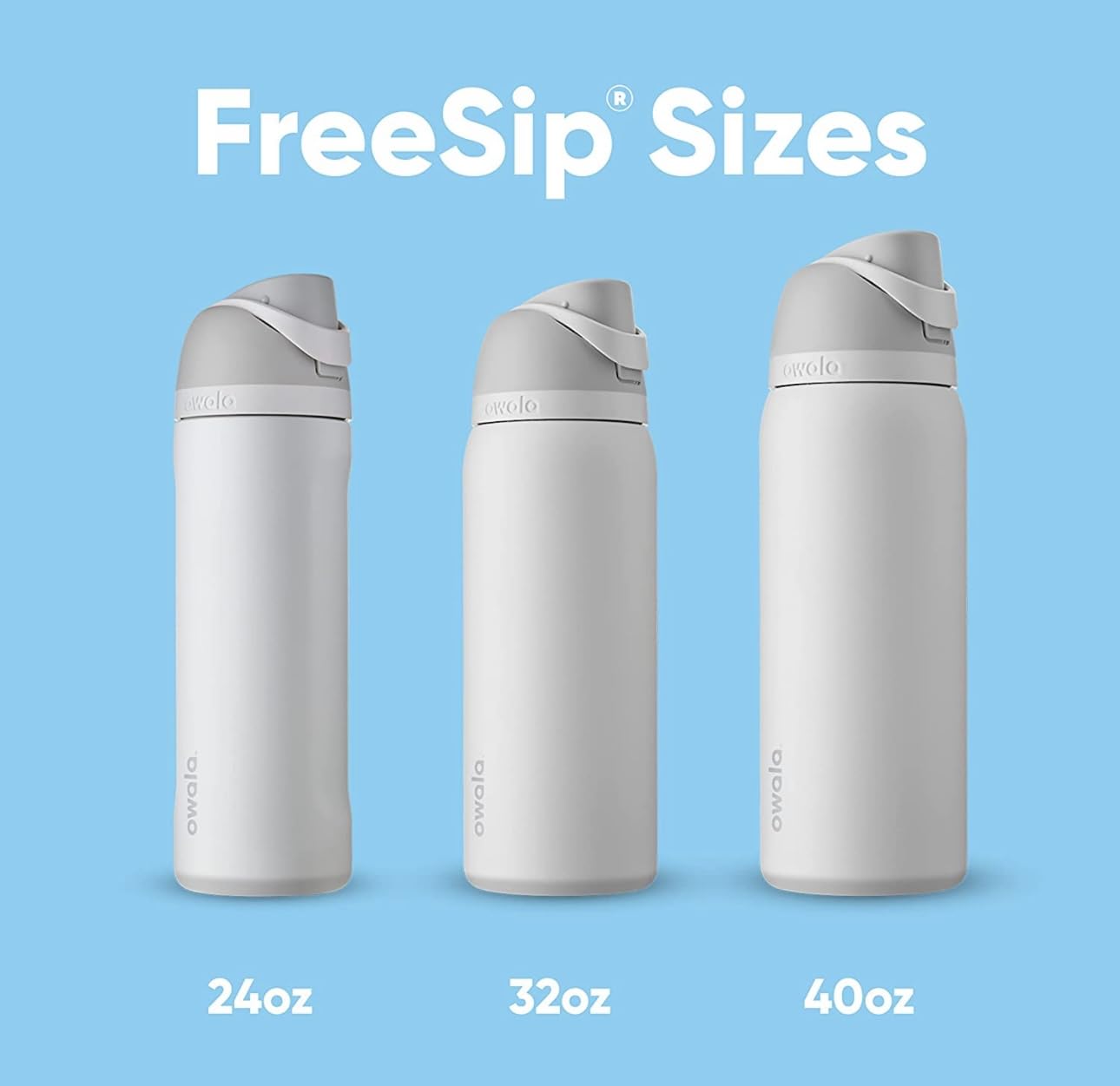 Owala FreeSip Stainless Steel Boneyard Bottle 40oz, 1 EA