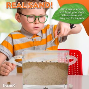 Tigerific Ant Farm for Live Ants - Real Sand Ant Colony Kit for Kids -Fun Science Habitat Set for Children, Watch Ants Dig Tunnels, Carry Sand, Hide and Drag Their Food