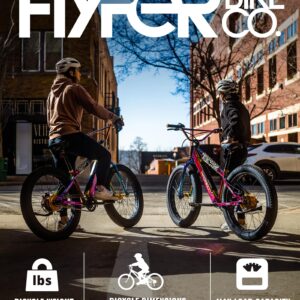 Hyper E-Ride BMX Fat Tire Electric Bike. 250w, 36v Battery, 26 X Inch Fat Tire Ebike with Pedal Assist, Single Speed, Front and Rear Disc Brakes, BMX Frame. Electric Bicycle for Adults. (Jet Fuel)