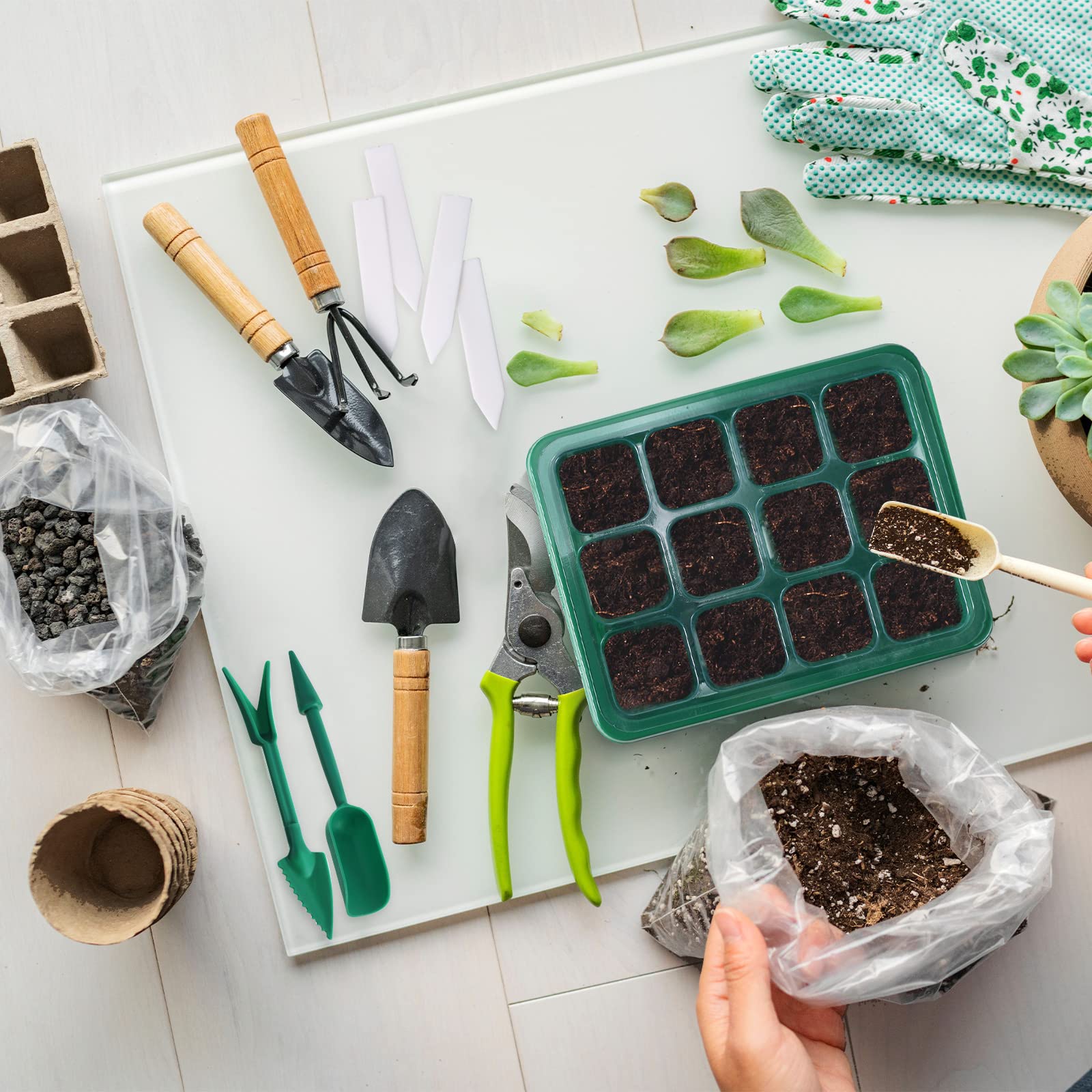 20 Packs Seed Starter Tray Seed Starter Kit with Humidity Dome, 240 Cells Total Tray Base Greenhouse Plant Starting Trays Kit with Plastic Seeding Tools and Labels for Seeds Growing Starting