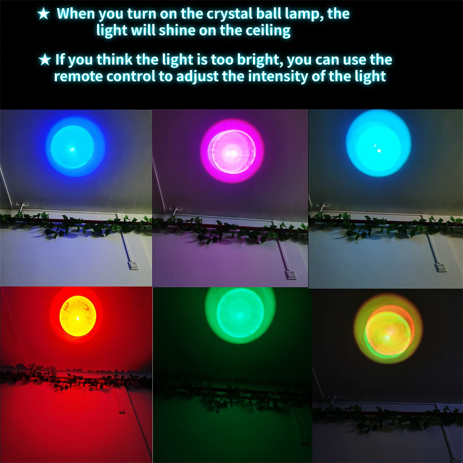 3D Dolphin Crystal Ball Lamp,3.15 inch Crystal Ball Night Light with Wooden Base,16 Colors Changing Light,Dimmable Remote Control,Desk lamp (H)