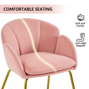 Yaheetech Flower Shape Velvet Armchair, Modern Side Chair Vanity Chair with Golden Metal Legs for Living Room/Dressing Room/Bedroom/Home Office/Kitchen, Pink