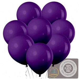 afterloon® biodegradable mini balloons 100 pcs deep purple 5 inch, matte color thickened extra strong latex helium float, baby shower gender reveal garland arch wedding birthday party decorations