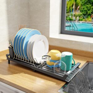 petxpert dish drying rack, expandable dish rack for kitchen counter with utensil holder, stainless steel small dish drainer organizer with drainboard for kitchen in sink (black)