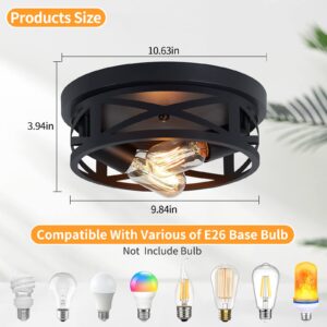 ZHU YAN 2 Pack Black Flush Mount Ceiling Light,Industrial Farmhouse Metal Cage Black Light Fixtures Ceiling Mount for Kitchen Entryway Hallway E26 Base (10.63in)