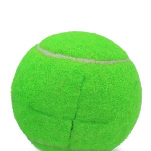 ZHUOKECE 4 PCS Precut Walker Tennis Balls for Furniture Legs Floor Protection, Heavy Duty Long Lasting Felt Pad Glide Coverings (Light Green)