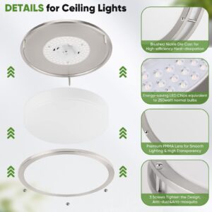 36W LED Ceiling Lights for Bedroom Kitchen, 3600lm Super Bright, Dimmable Flush Mount Light Fixtures 6500K/5000K/4000K/3000K/2700K Adjusted Modern Lamps 2PACK, 13 Inch, Nickle