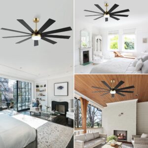 LEDLUX 65" DC Motor Ceiling Fan with Light, 6-Speed Remote Control, Reversible Motor, Modern 9 Blades Ceiling Fan with 4.5"/12" Downrods for Home or Commercial Black/Gold