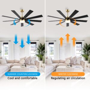 LEDLUX 65" DC Motor Ceiling Fan with Light, 6-Speed Remote Control, Reversible Motor, Modern 9 Blades Ceiling Fan with 4.5"/12" Downrods for Home or Commercial Black/Gold